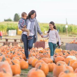 About Us - Malcolm Scott